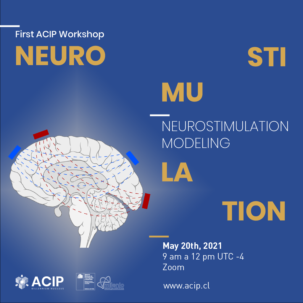 First ACIP Workshop: Neurostimulation Modeling | NeuroEng@Usach